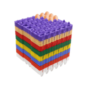 Egg Trays & Racks - Kilimo Livestock